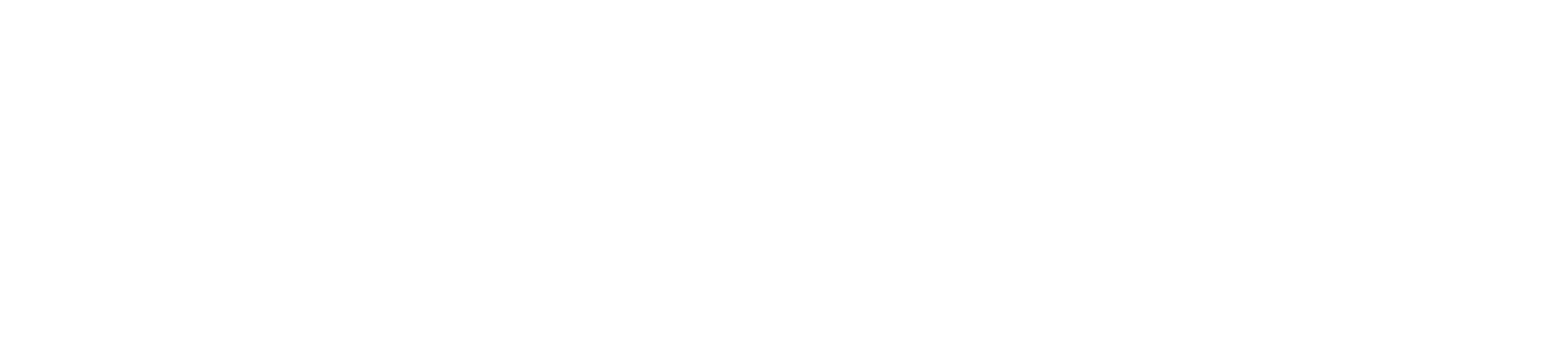 Home Intersoft Systems